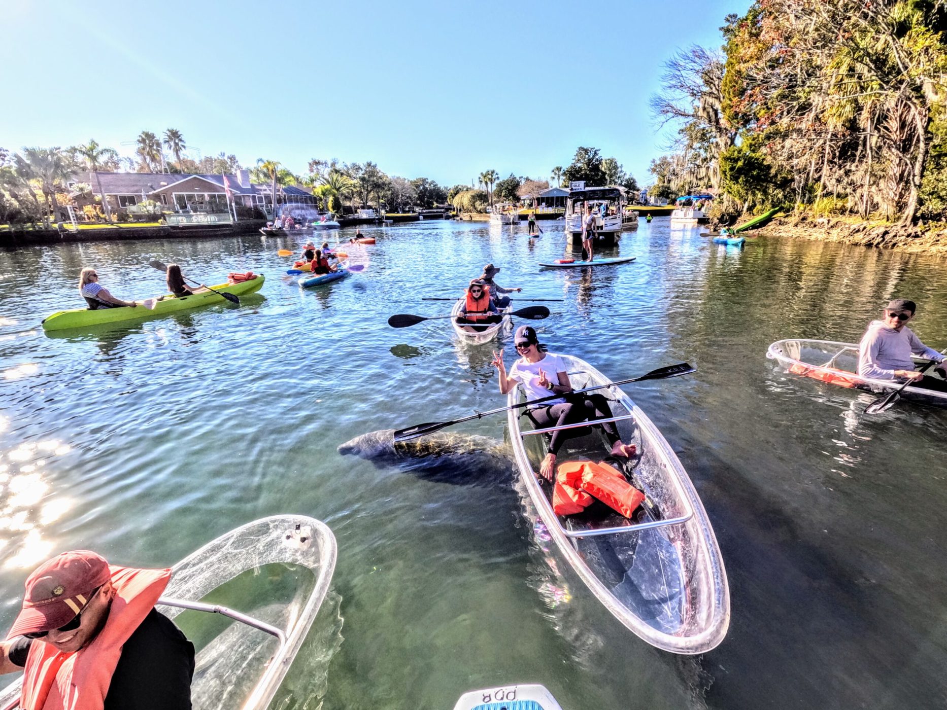 Clear Kayaking Manatee Ecotours | Crystal River, Florida